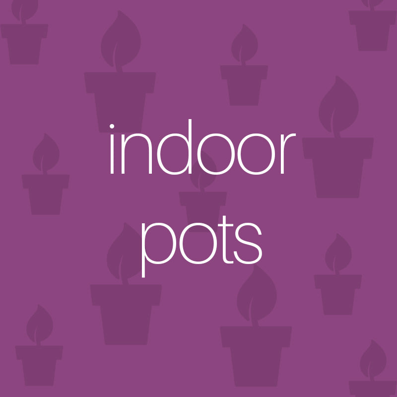 Pretty Pots - Indoor Plant Pots - Variety of Sizes, Shapes, Colours