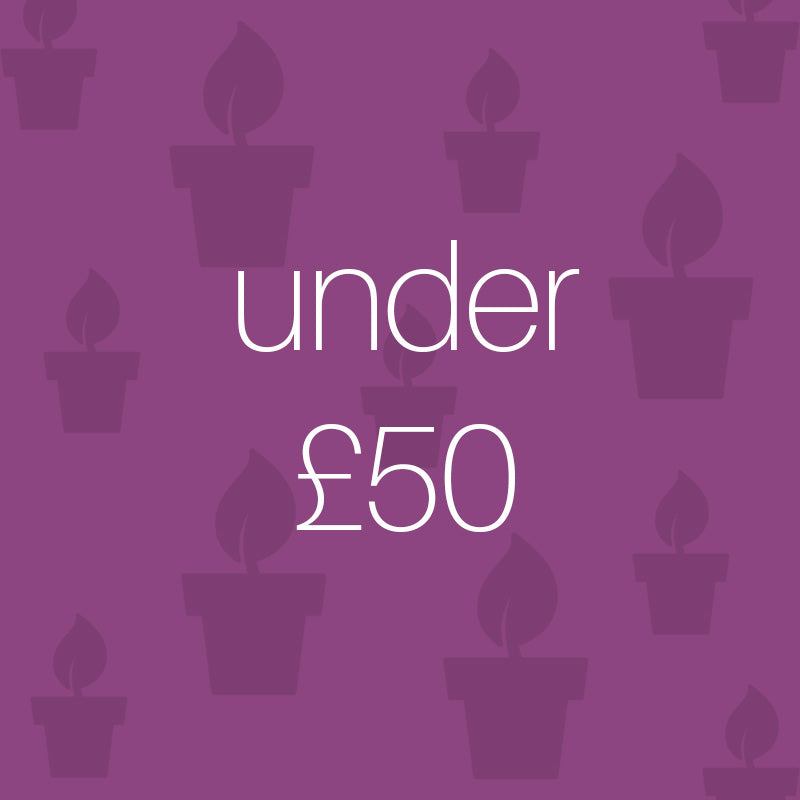 Pretty Pots - Indoor & Outdoor Pots - Many Size, Shape & Colour